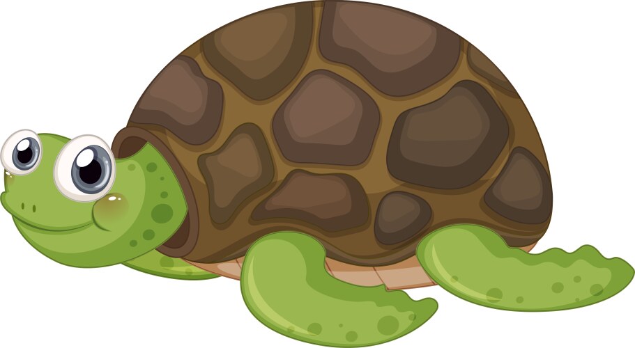 Cartoon turtle on white background animals Vector Image