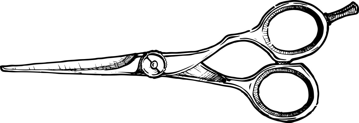 Scissors Cutting Hair Drawing Free Scissors Catching Light Image