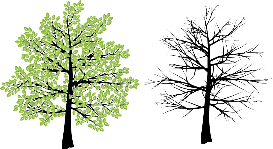 Spring Tree Vector Images (over 240,000)