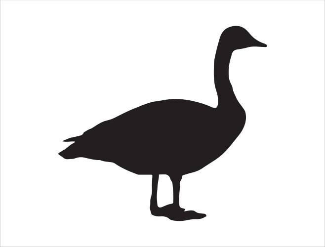 Goose Vector Images (over 22,000)