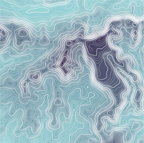 Detailed topographic map design Royalty Free Vector Image