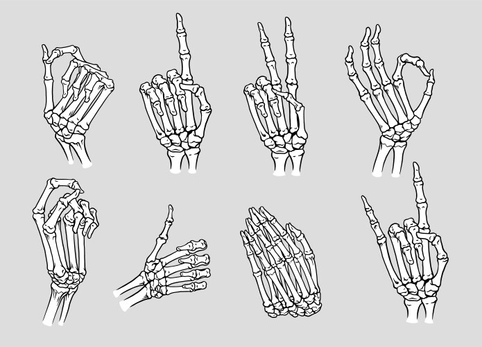 Metal hand skeleton Royalty Free Vector Image - VectorStock