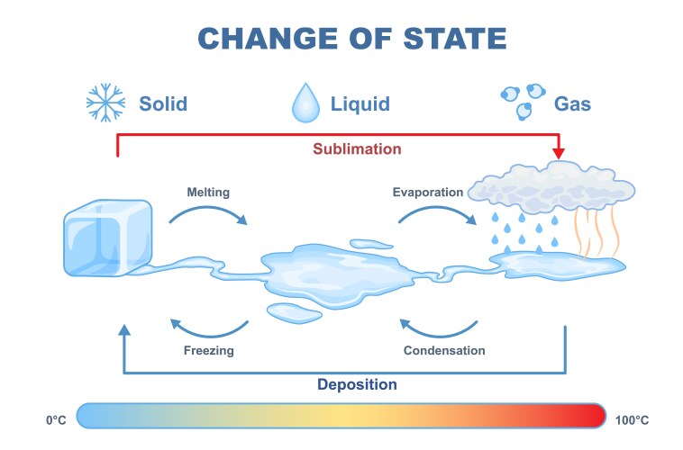 Water Cycle Diagram Vector Images (over 610)