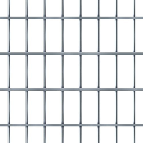 Jail prison metal cage isolated cell grid steel Vector Image