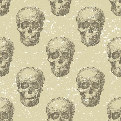 Seamless pattern with skulls Royalty Free Vector Image