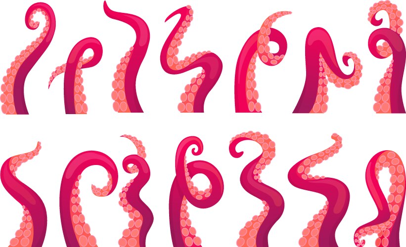 Colorful Octopus Tentacles Royalty Free Vector Image