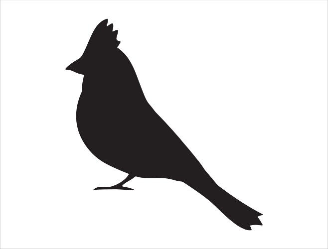 Black white cardinal Vector Images & Graphics for Commercial Use ...