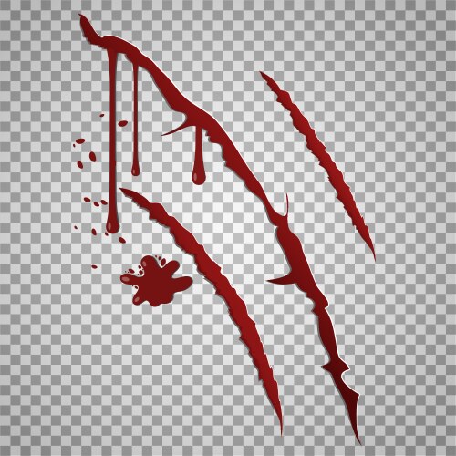 Wound Open Blood Vector Images (90)