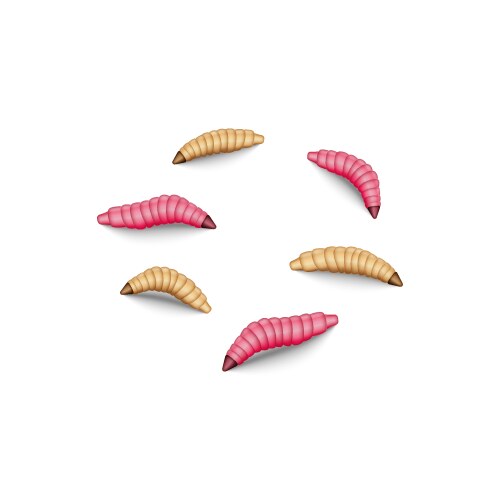 Maggot Vector Images (over 1,800)