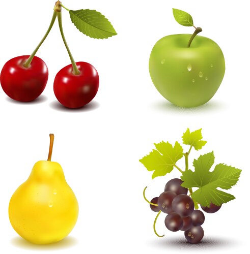 Fruit Vector Images (over 870,000)