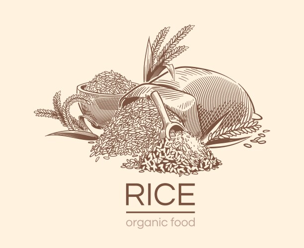 Chinese Rice Vector Images (over 19,000)