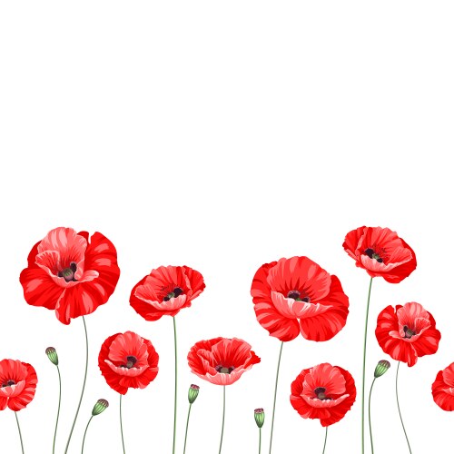 Poppy Vector Images (over 23,000)
