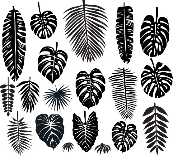 Tropical Leaves Vector Images (over 140,000)