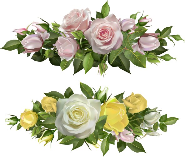 Pink rose border Royalty Free Vector Image - VectorStock