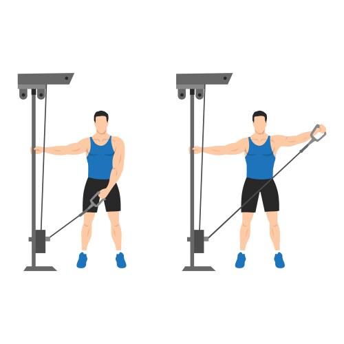 Man doing cable face pull exercise Royalty Free Vector Image