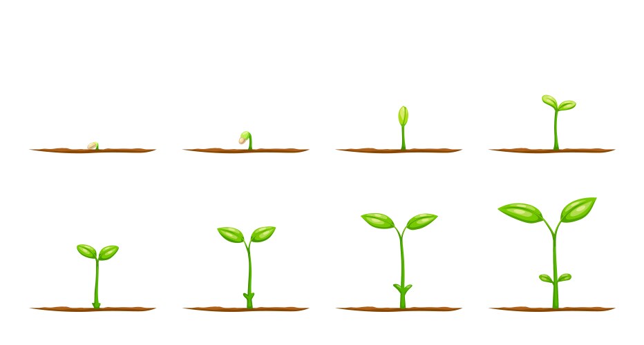Sprouts Vector Images (over 60,000)