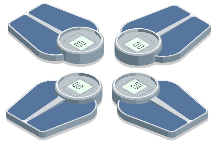 Bathroom weight scale Royalty Free Vector Image