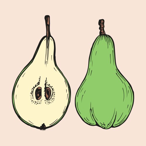 Pear Outline Vector Images (over 8,900)