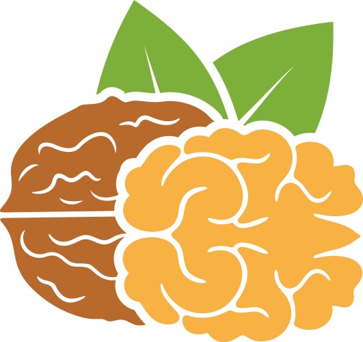 Walnut icon healthy organic nut cartoon symbol Vector Image