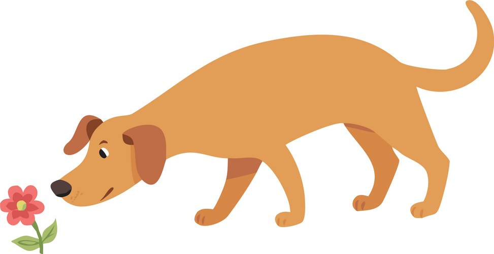 Flower Dog Vector Images (over 9,700)