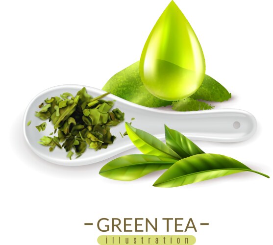 Green Tea Vector Images (over 47,000)