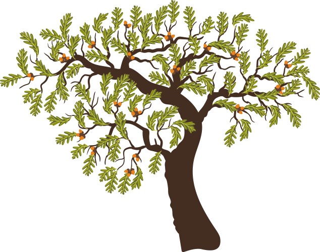 Brown Tree Vector Images (over 58,000)