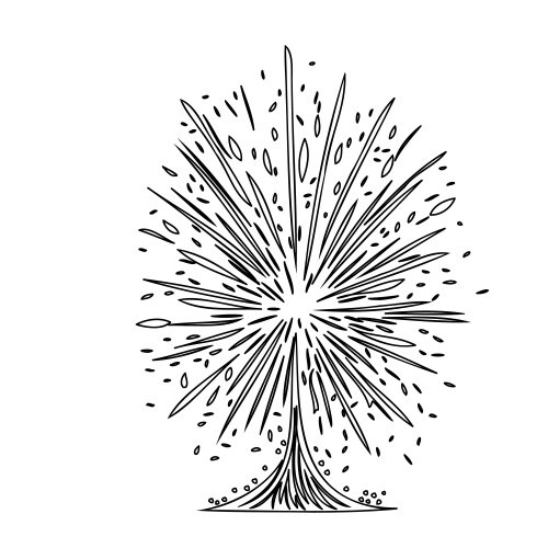 Celebration fireworks splash outline sketch Vector Image