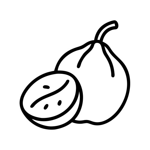 Sapodilla Vector Images (over 470)