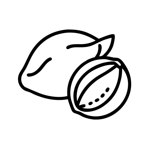 Sapodilla Vector Images (over 470)