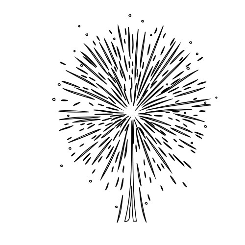 Celebration fireworks splash outline sketch Vector Image