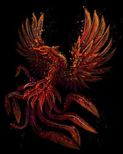 Phoenix Royalty Free Vector Image - VectorStock