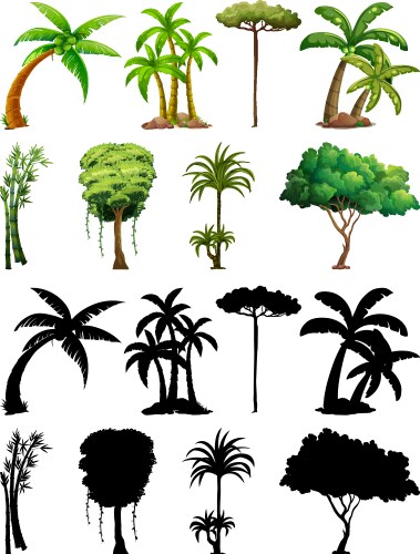 Parts of a plant Royalty Free Vector Image - VectorStock