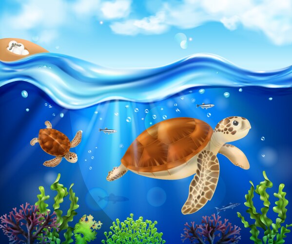 Sea Turtle Life Cycle Vector Images (40)