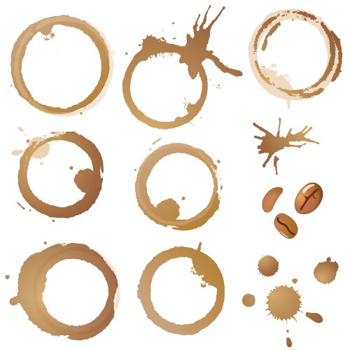 Coffee Stain Set Royalty Free Vector Image - VectorStock