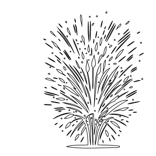 Celebration fireworks splash outline sketch Vector Image