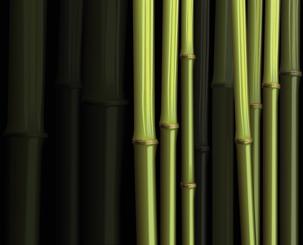 Bamboo Vector Images (over 46,000)