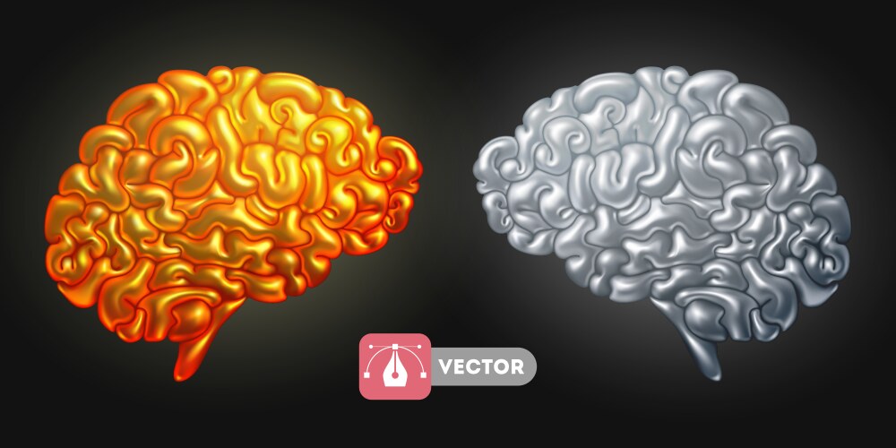 Gold human brain Royalty Free Vector Image - VectorStock