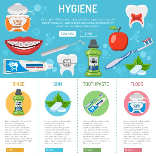 Dental hygiene infographic oral healthcare guide Vector Image