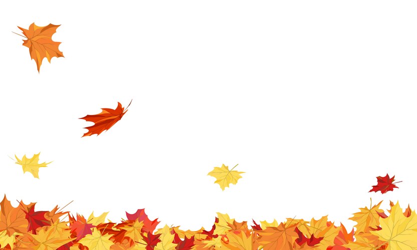 Maple-leaves falling Royalty Free Vector Image