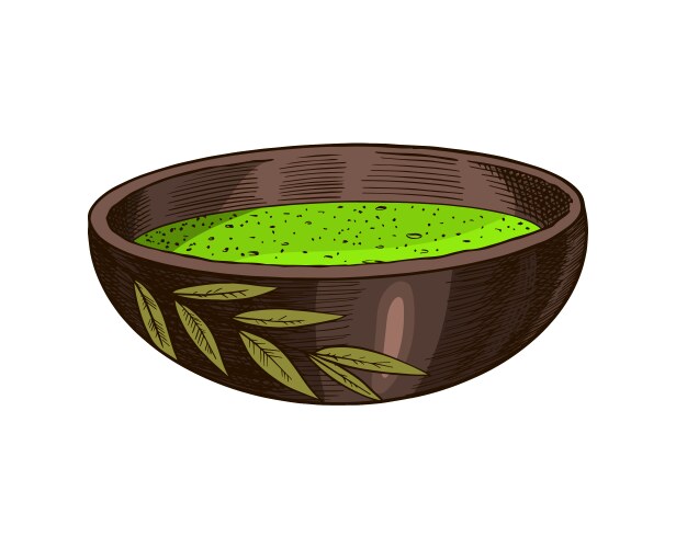 Green matcha tea detailed icon Royalty Free Vector Image