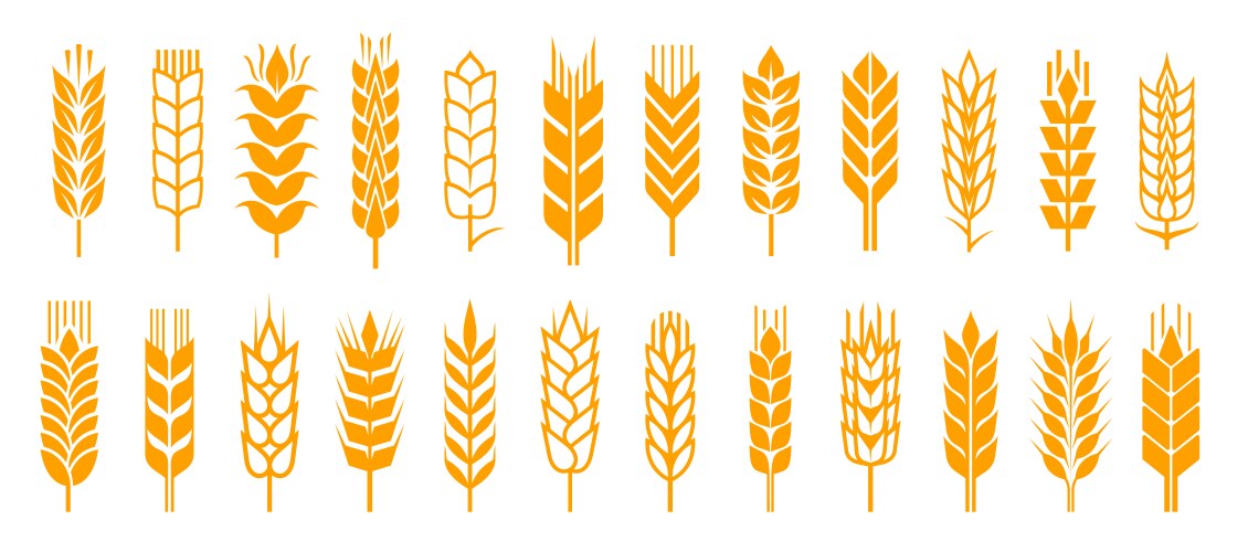 Wheat Vector China Wheat Straw Dinnerware Sets Manufacturer And