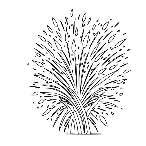 Celebration fireworks splash outline sketch Vector Image