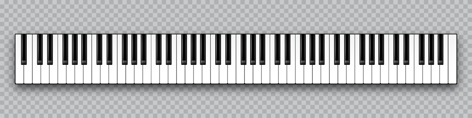 Realistic piano key musical instrument keyboard Vector Image