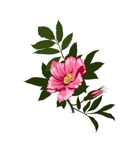 Wild Flower Vector Images (over 99,000)