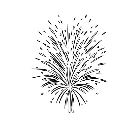 Celebration fireworks splash outline sketch Vector Image