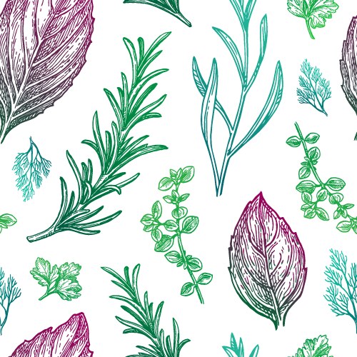 Herbs realistic green food species aromatic Vector Image