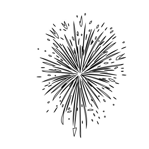 Celebration fireworks splash outline sketch Vector Image