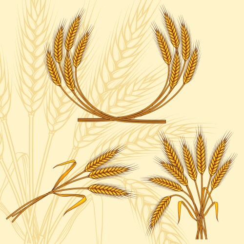 Wheat Vector Images (over 130,000)