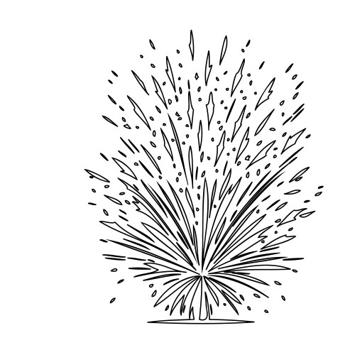 Celebration fireworks splash outline sketch Vector Image
