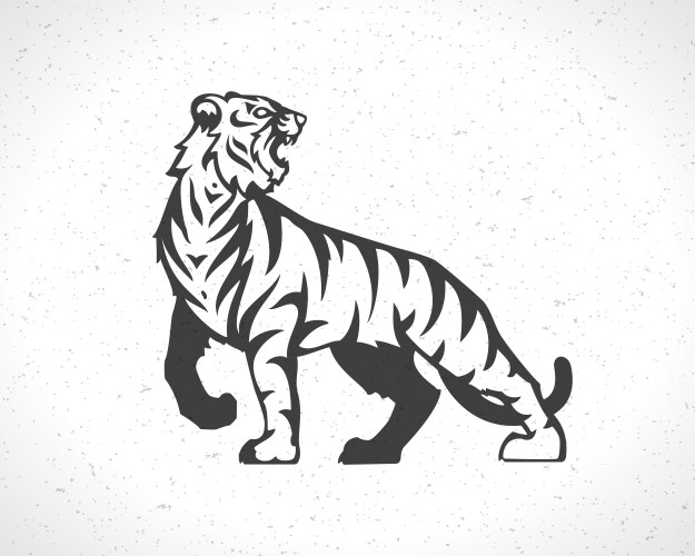 Tiger and water Royalty Free Vector Image - VectorStock